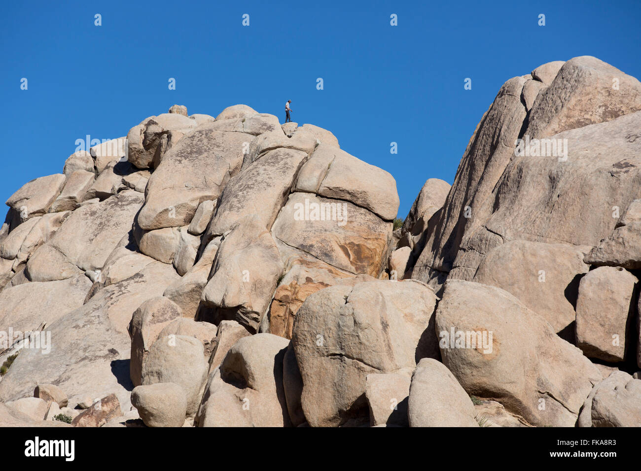 Jumbo Rocks, Joshua Tree National Park, California, USA Stock Photo - Alamy