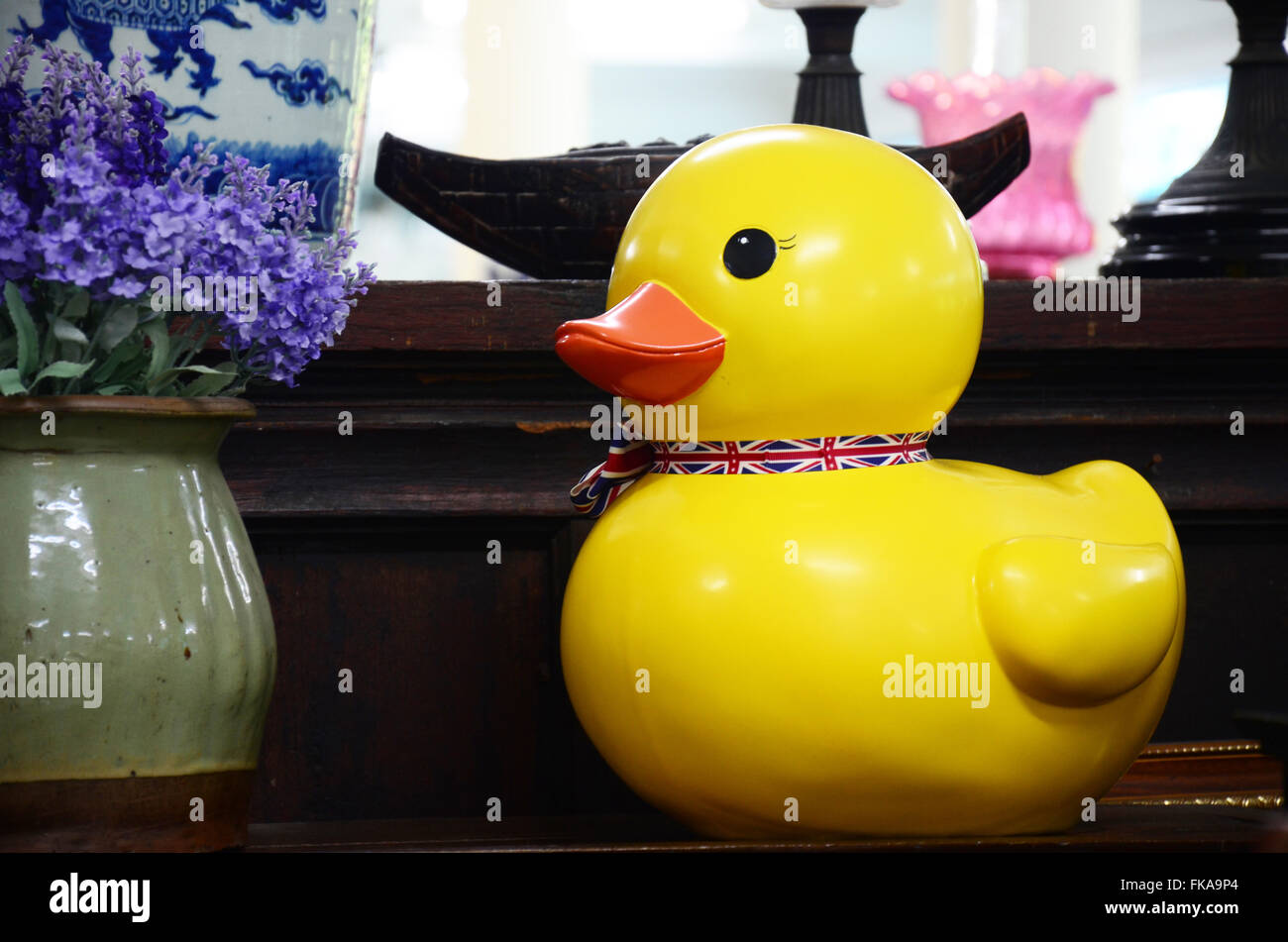 Rubber duck shop hi-res stock photography and images - Alamy