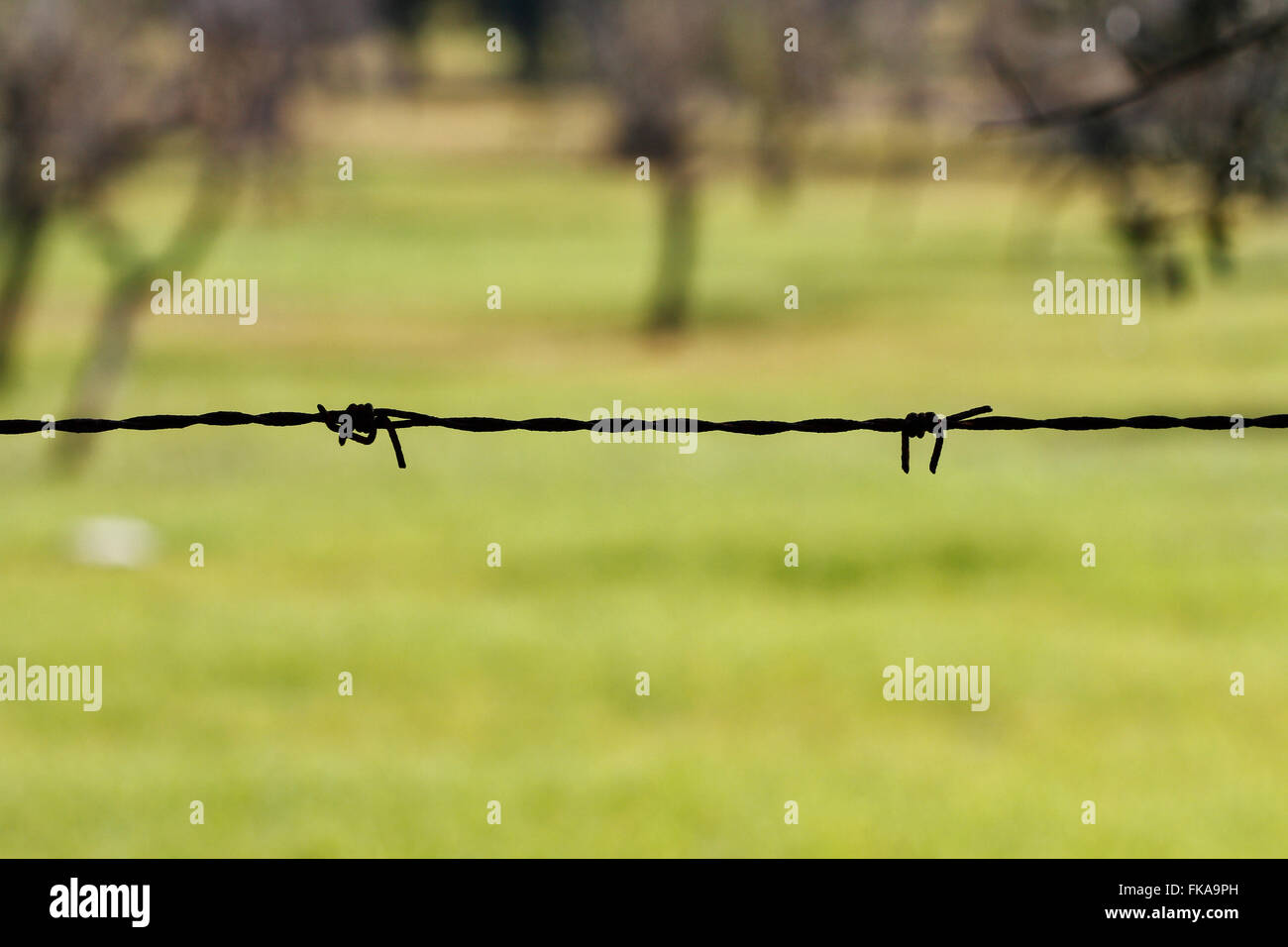 Wire fence in a field Stock Photo - Alamy