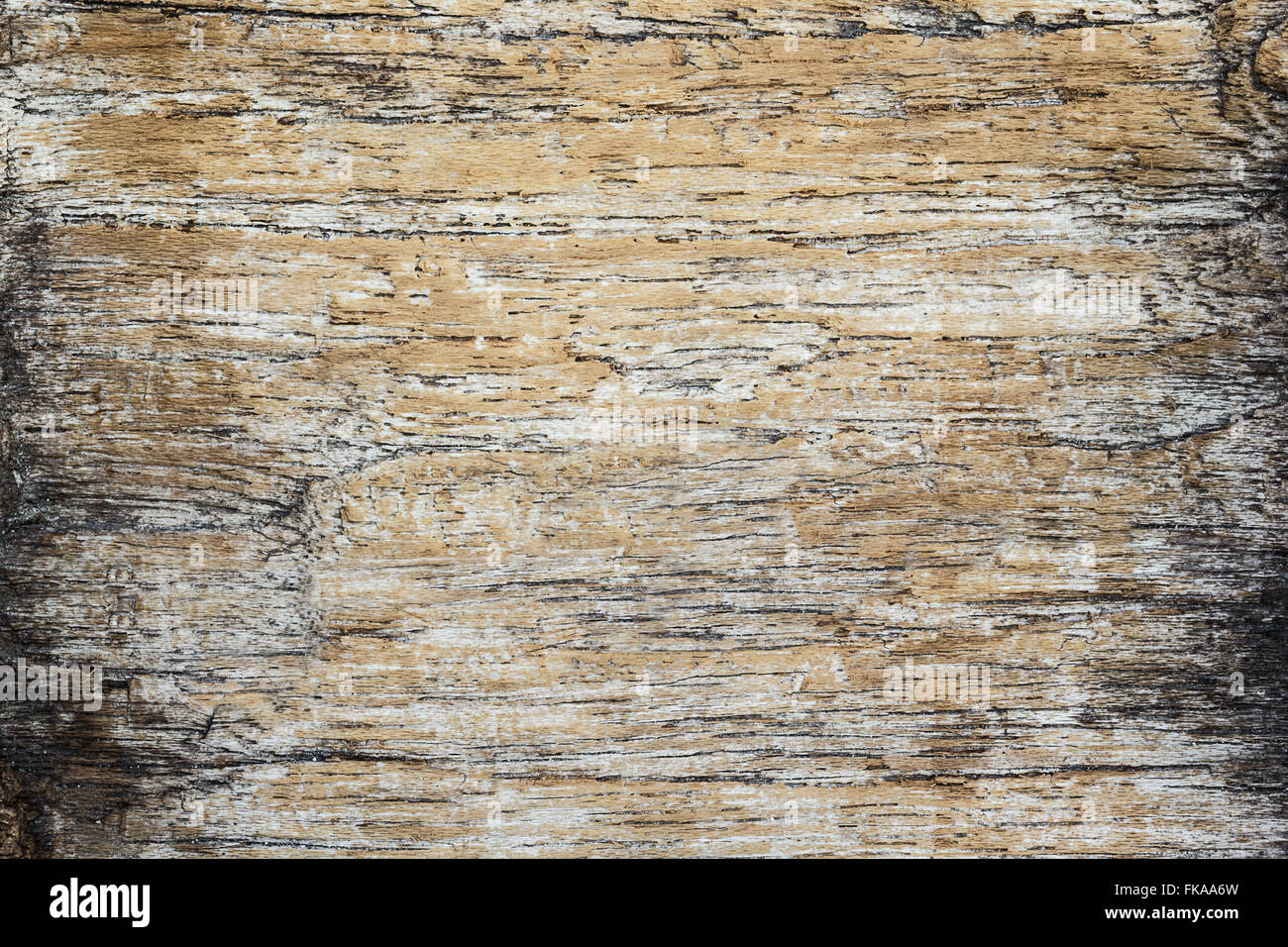 Grunge wood texture and background Stock Photo - Alamy