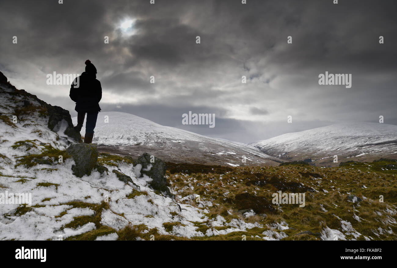 Cheviot hills northumberland uk hi-res stock photography and images - Alamy