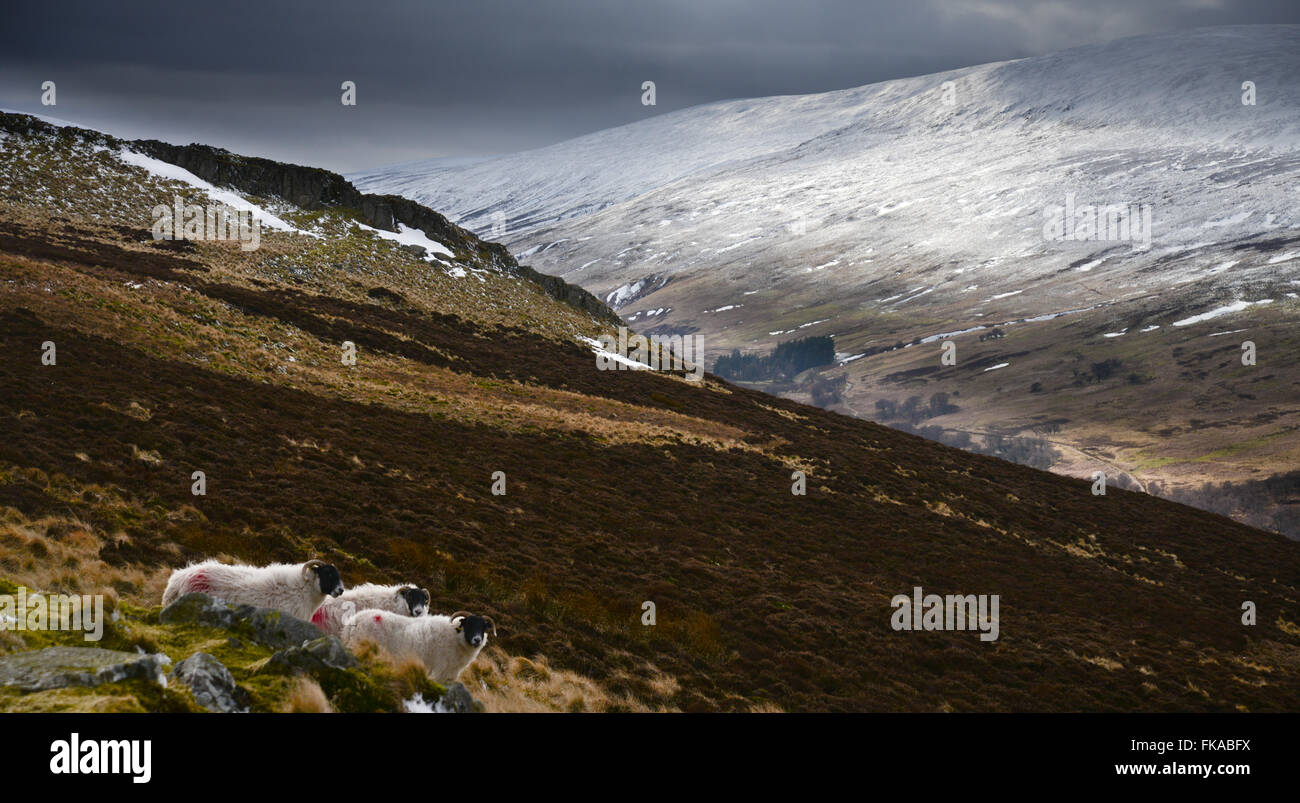Winter in the Cheviot Hills from Housey Crags looking across the ...