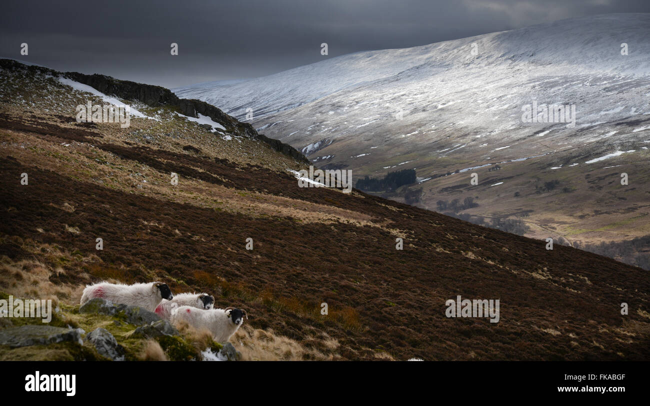 Winter in the Cheviot Hills from Housey Crags looking across the ...