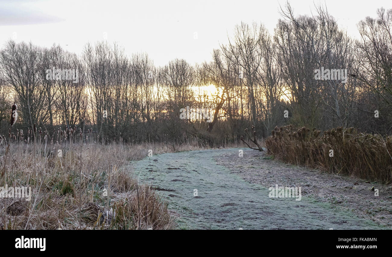 Hicca way hi-res stock photography and images - Alamy