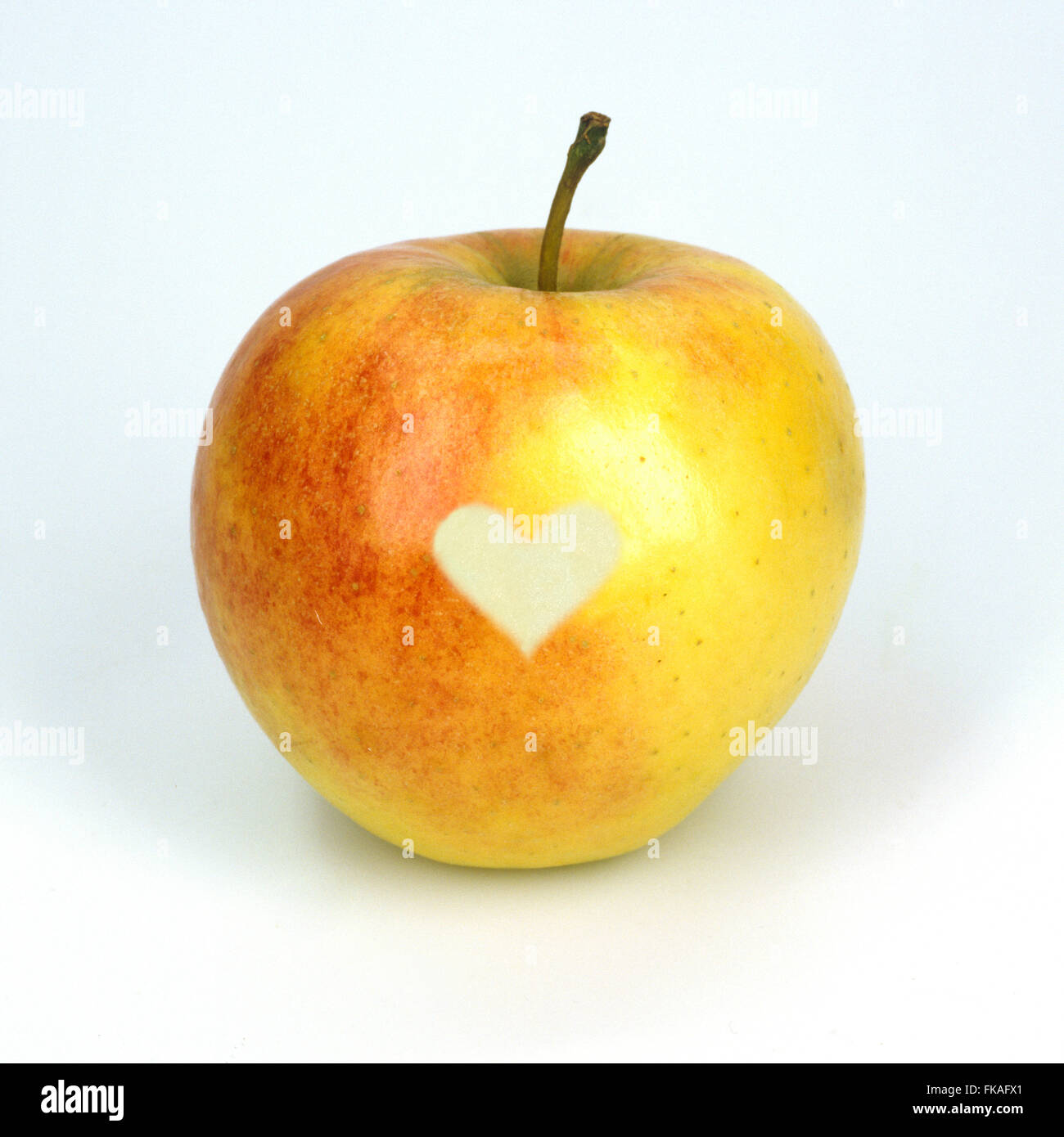 Variety elstar hi-res stock photography and images - Alamy