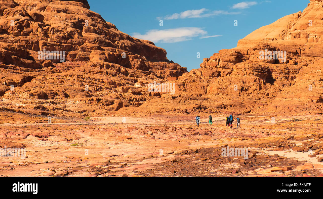 Sinai desert landscape Stock Photo - Alamy