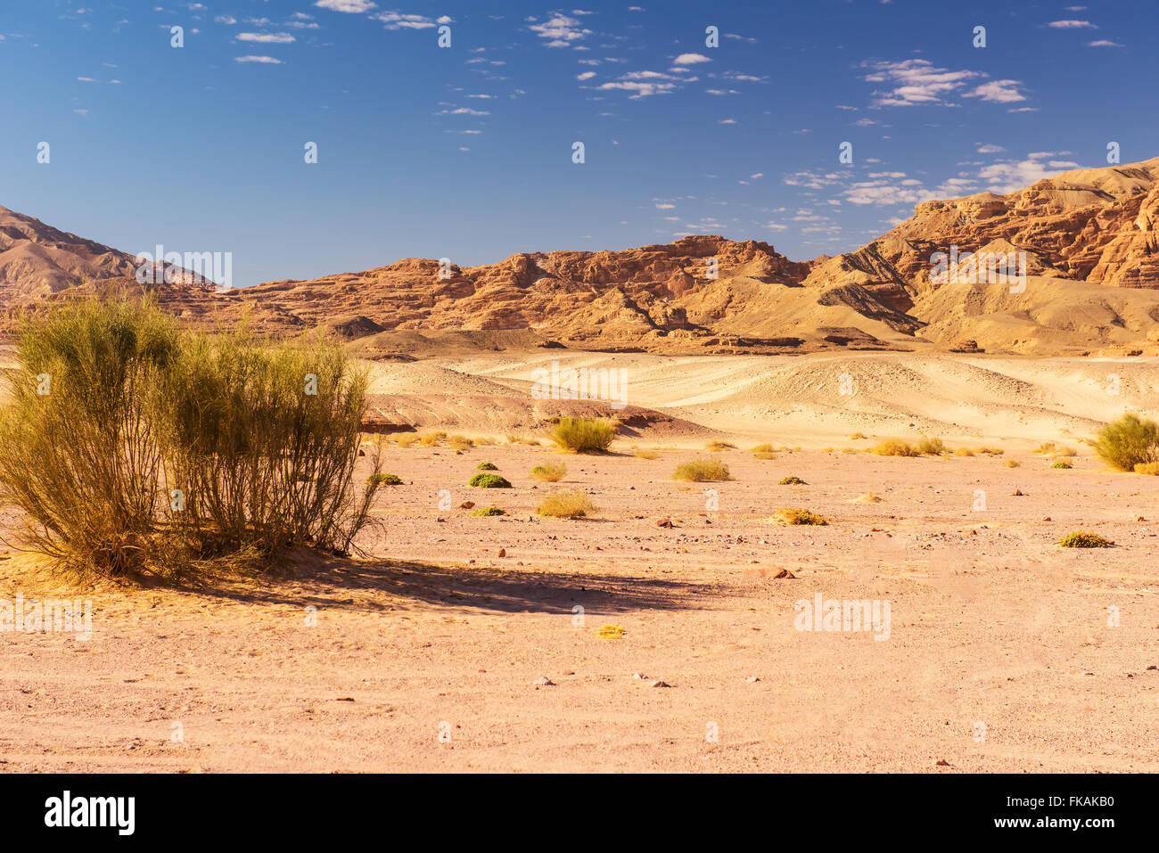 Sinai mountain hi-res stock photography and images - Alamy