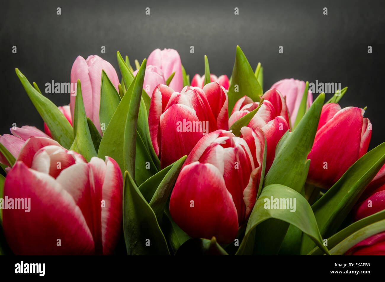 Tulips in a beautiful bouquet hi-res stock photography and images - Alamy