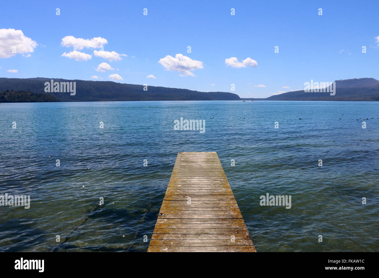 New zealand lake rotorua hi-res stock photography and images - Alamy