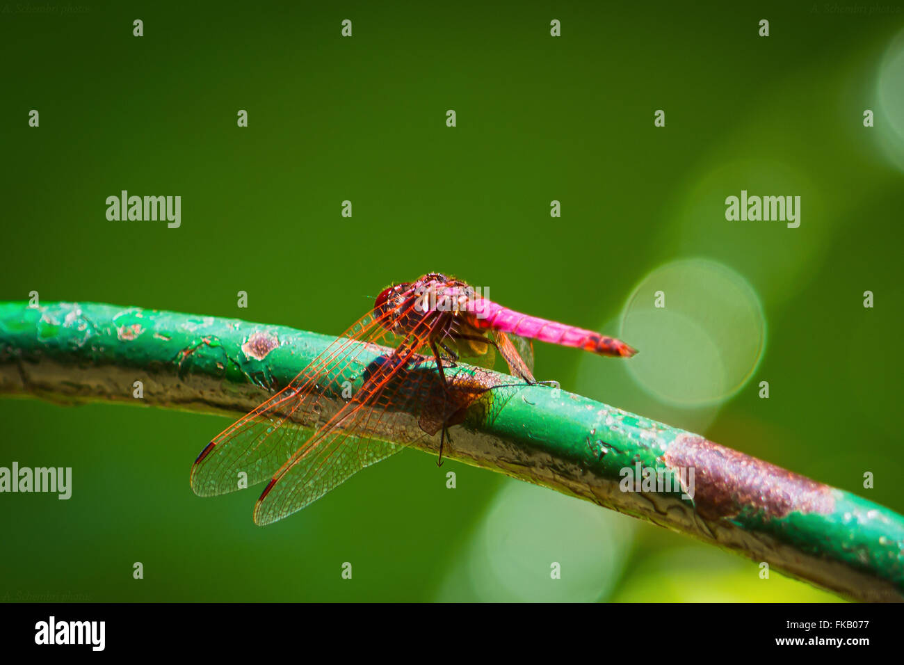 Rest peaceful hi-res stock photography and images - Alamy