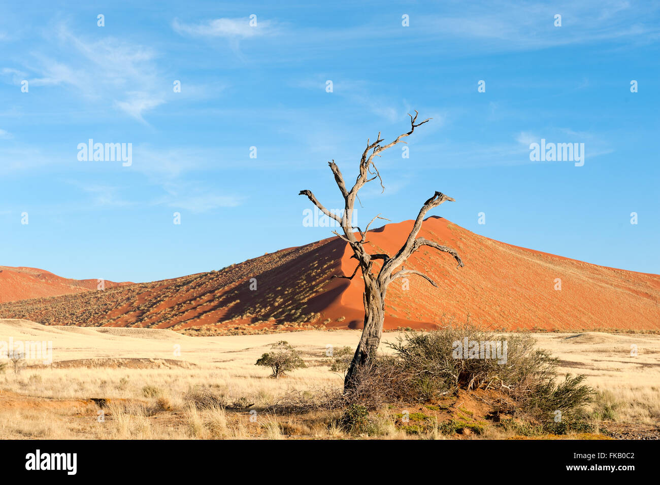 colourful namib desert namibia Stock Photo - Alamy