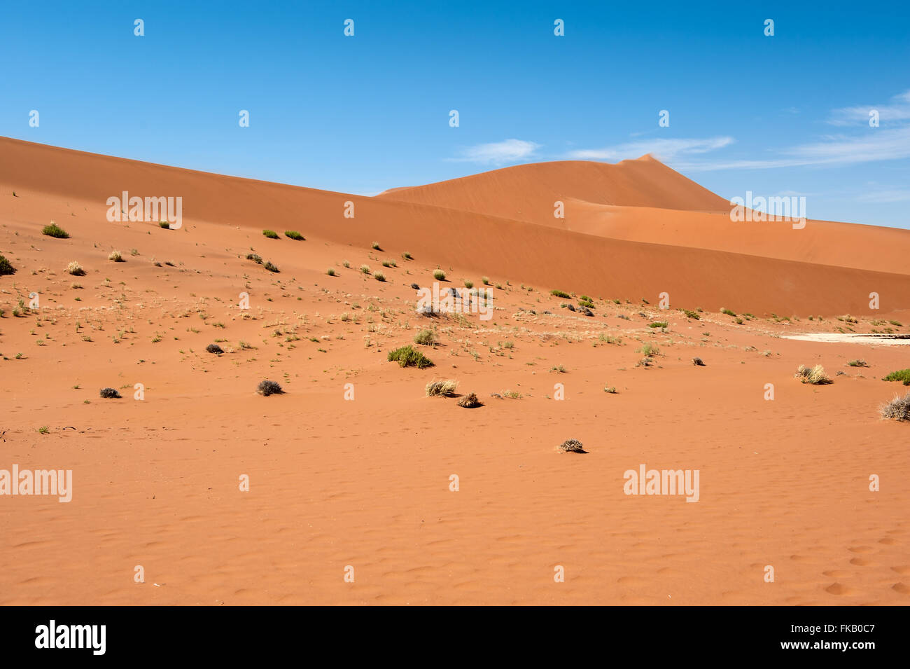colourful namib desert namibia Stock Photo - Alamy
