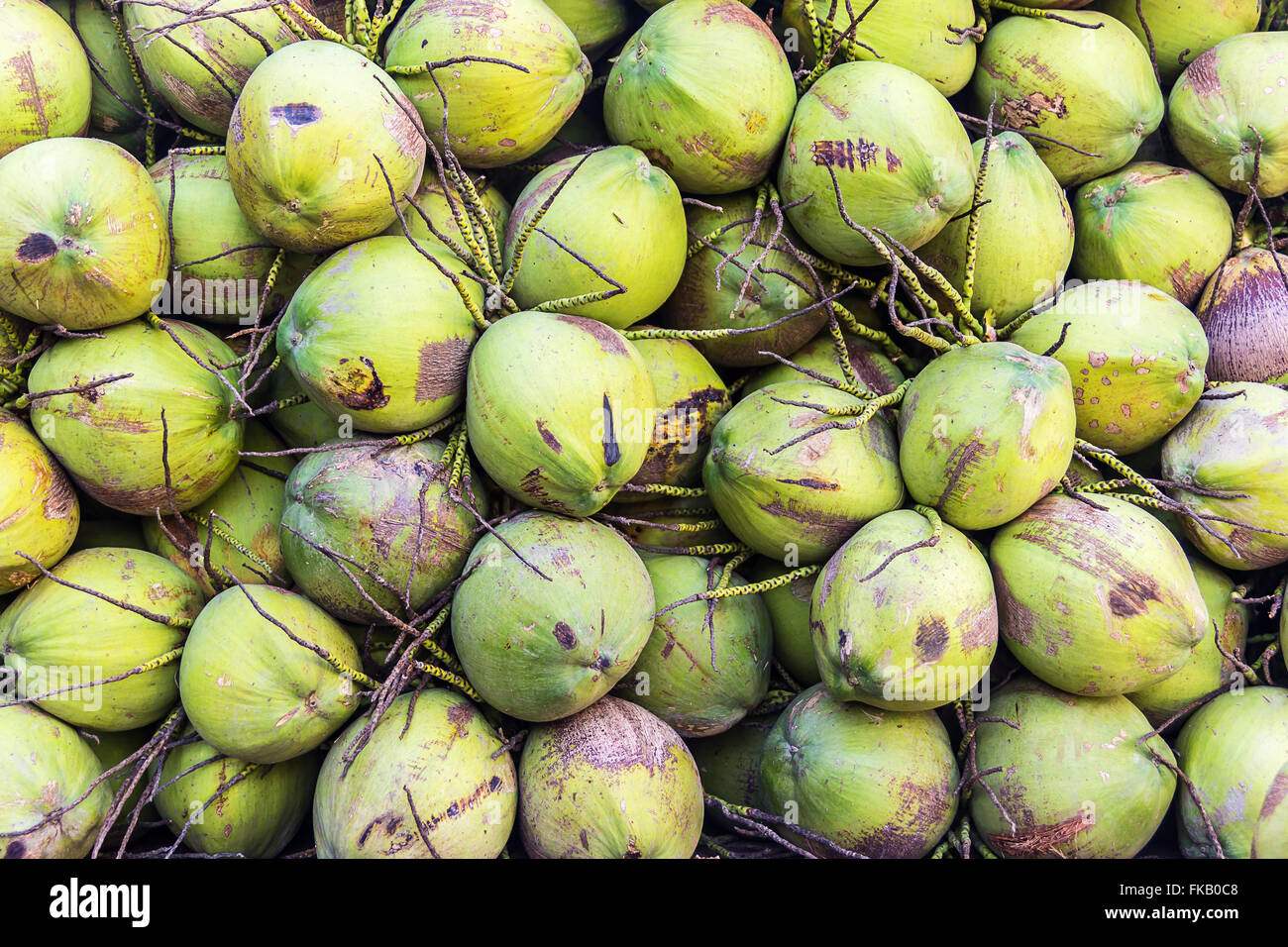 Texture background of coconut Stock Photo - Alamy