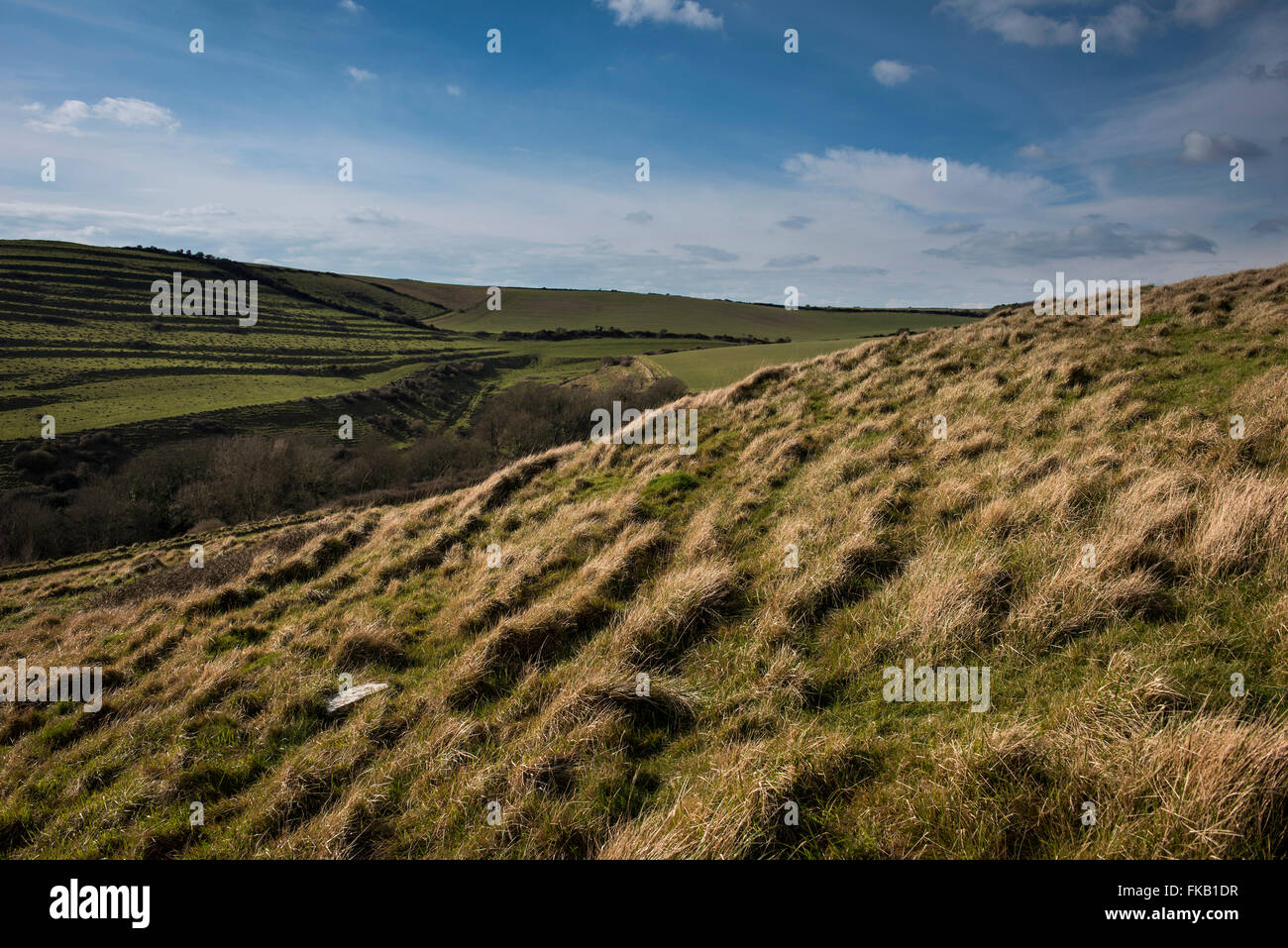 Strip lynchets hi-res stock photography and images - Alamy