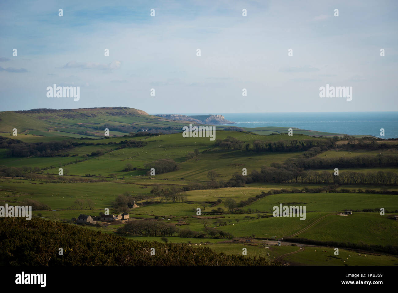 The view to Kimmeridge Bay from the Purbeck hills above Tyneham, Dorset ...