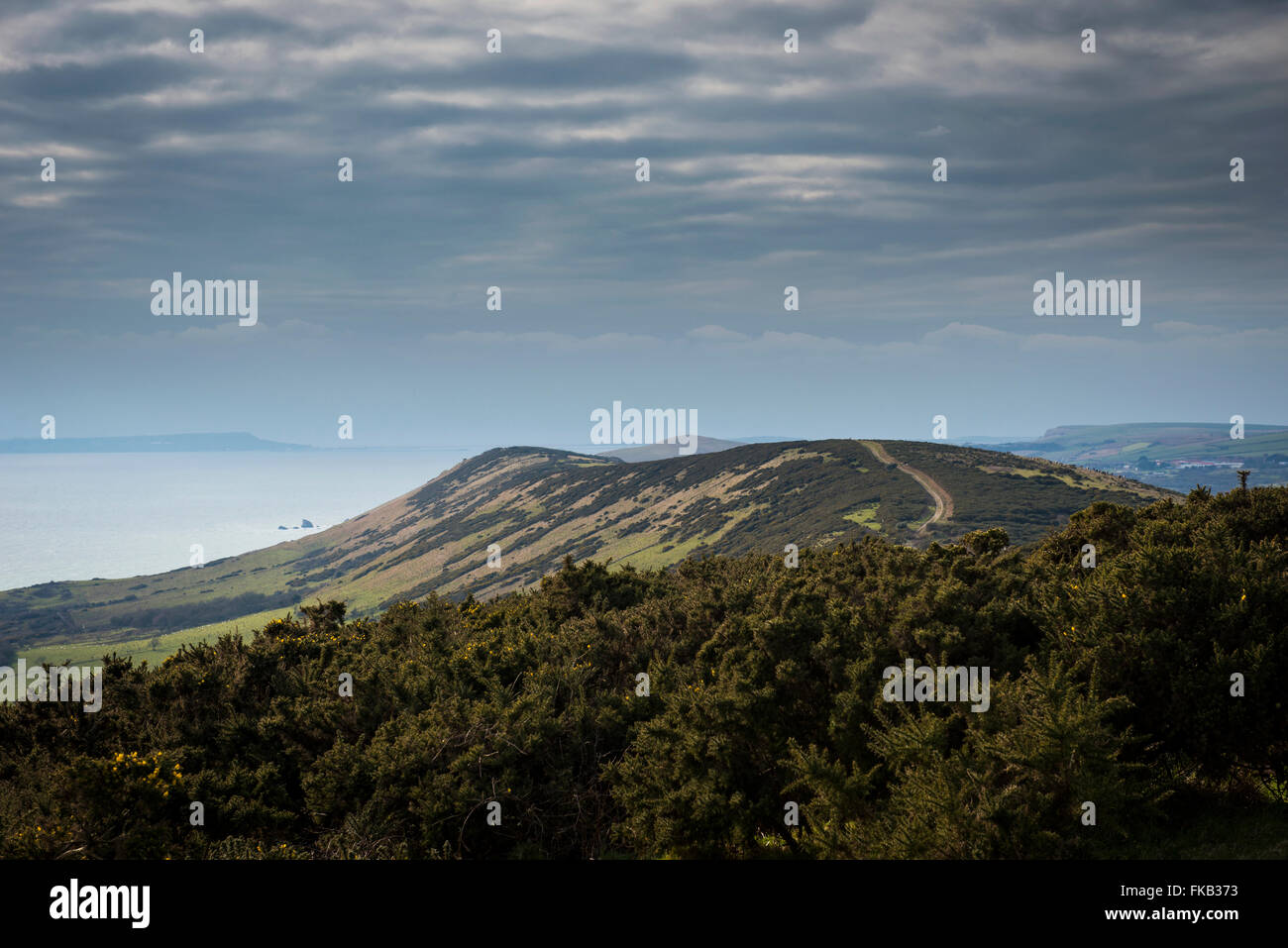 The view to Warbarrow Bay from the Purbeck hills above Tyneham, Dorset ...