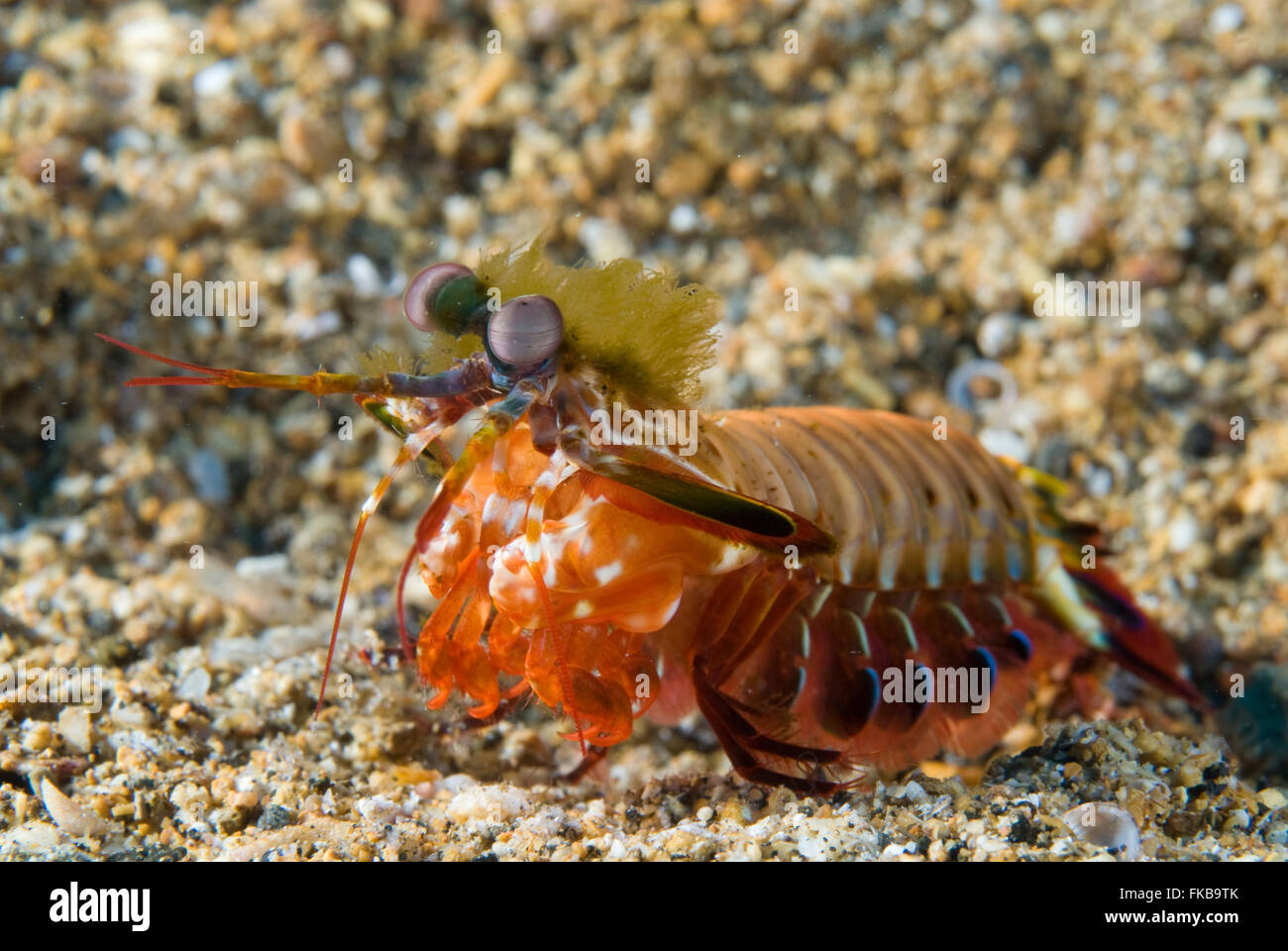 Rock form hi-res stock photography and images - Alamy