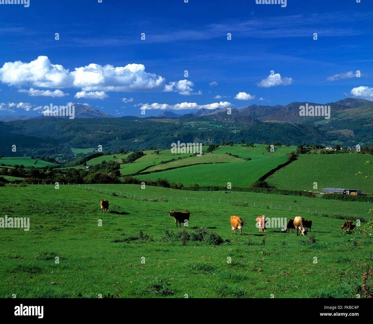 The Conwy Valley, North Wales UK Stock Photo - Alamy