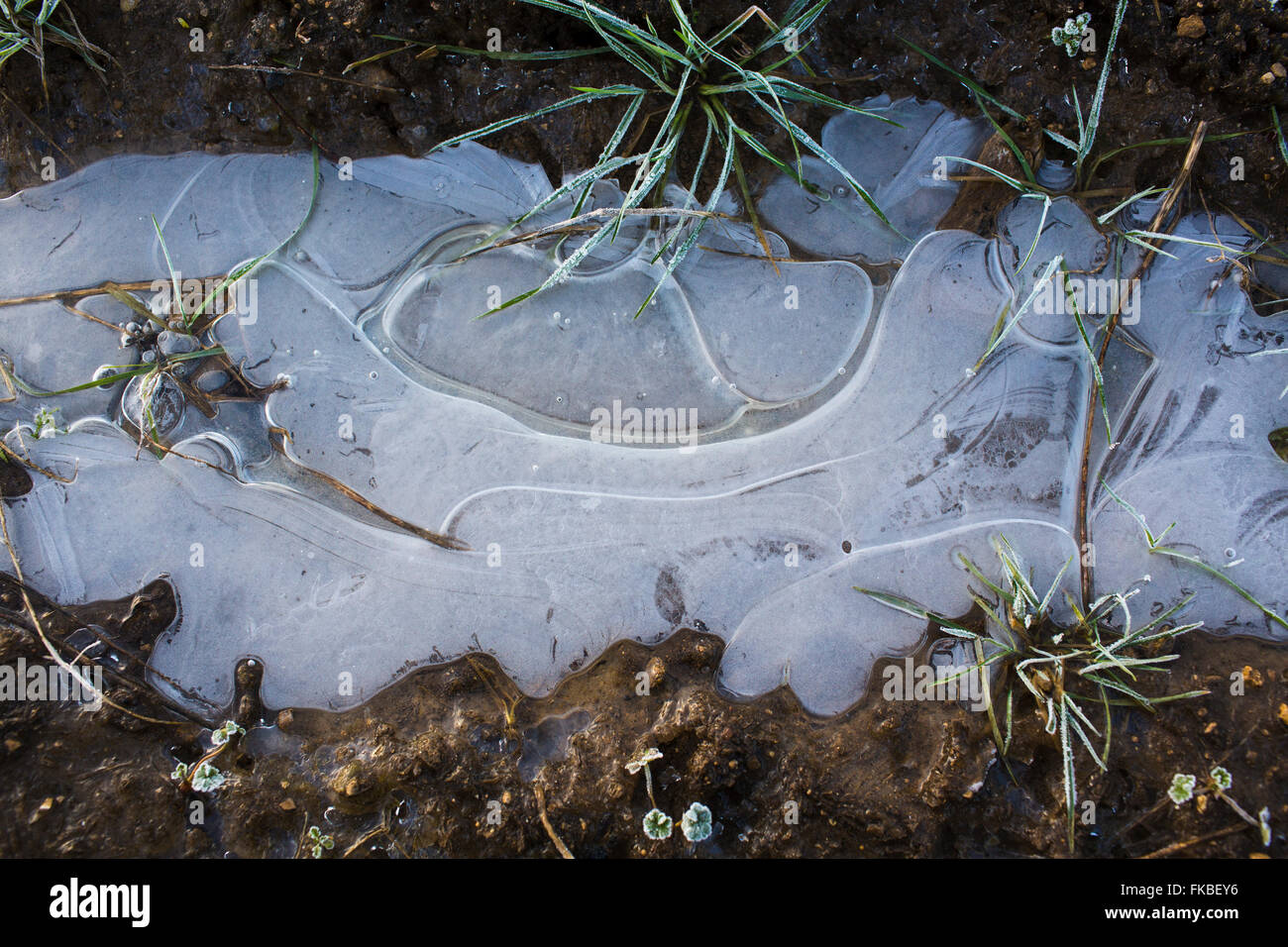 Ice bubbles formed in a muddy puddle Stock Photo - Alamy