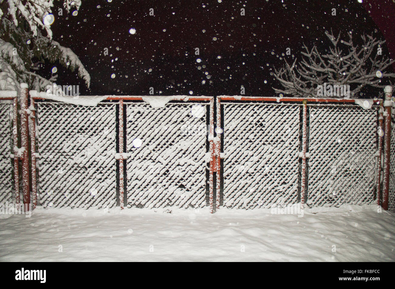 wire fence gate, winter, snow, snowfall, night photo Stock Photo - Alamy