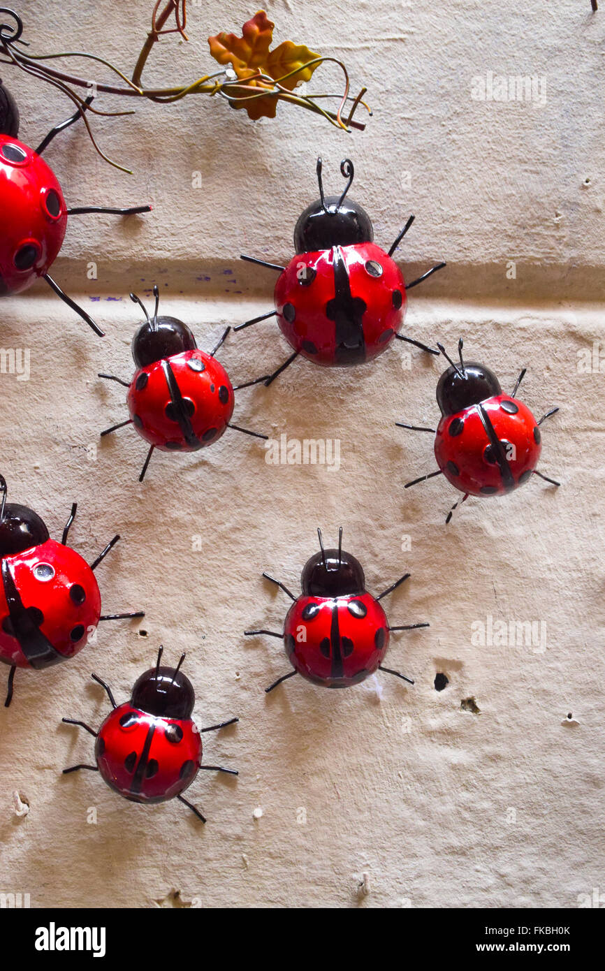 Ladybugs on a white wall Stock Photo - Alamy
