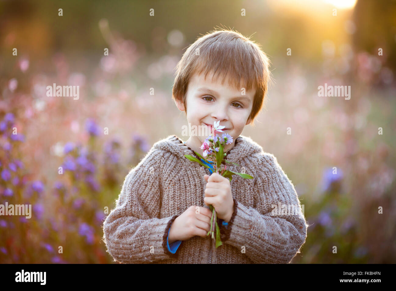 Sweet little boy, holding flowers on sunset, autumn day, back lit Stock ...