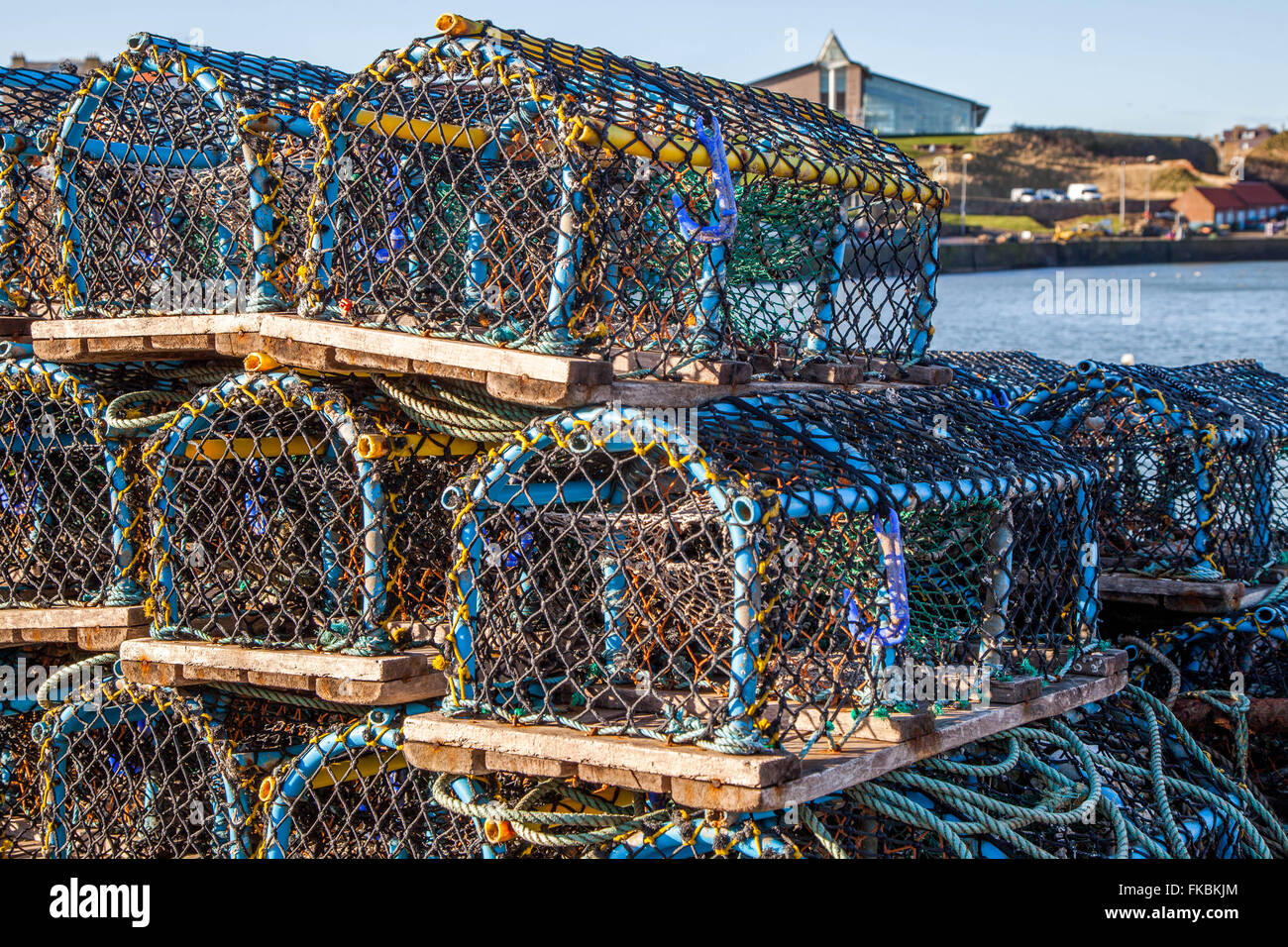 Lobster pots in a harbour Stock Photo - Alamy