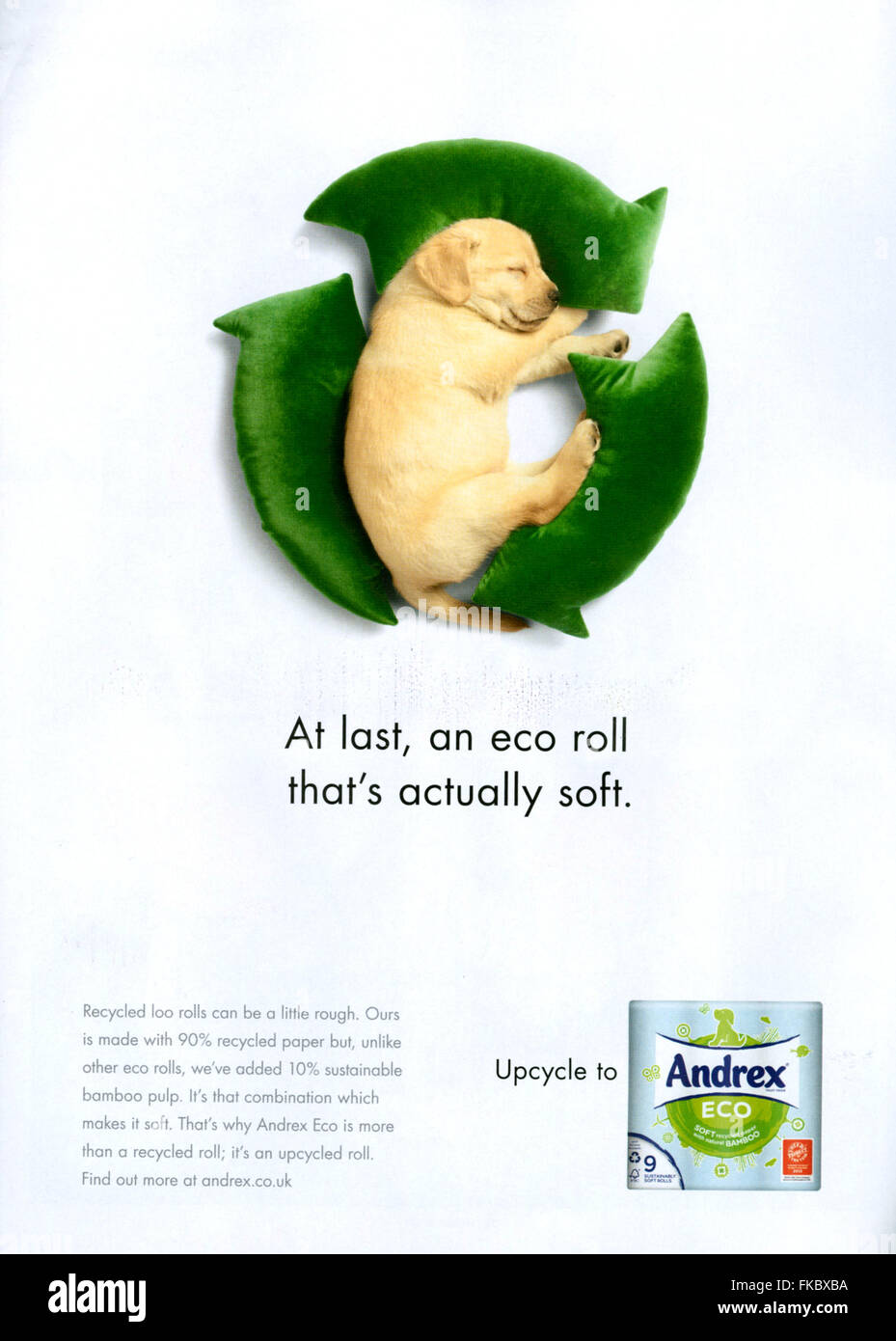 2010s UK Andrex Magazine Advert Stock Photo - Alamy