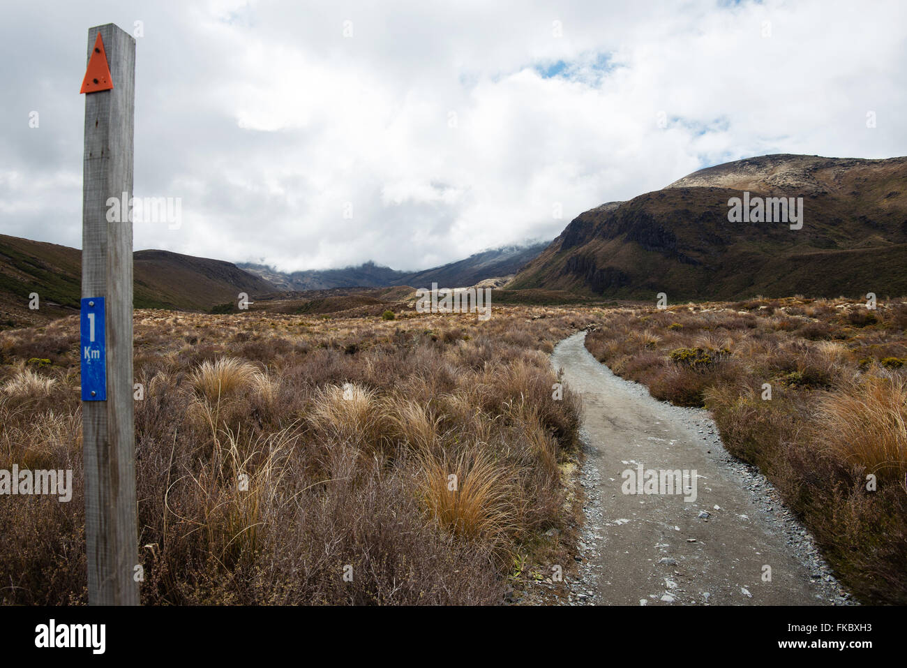 Public tramping track at Tongariro National Park in New Zealand Stock ...