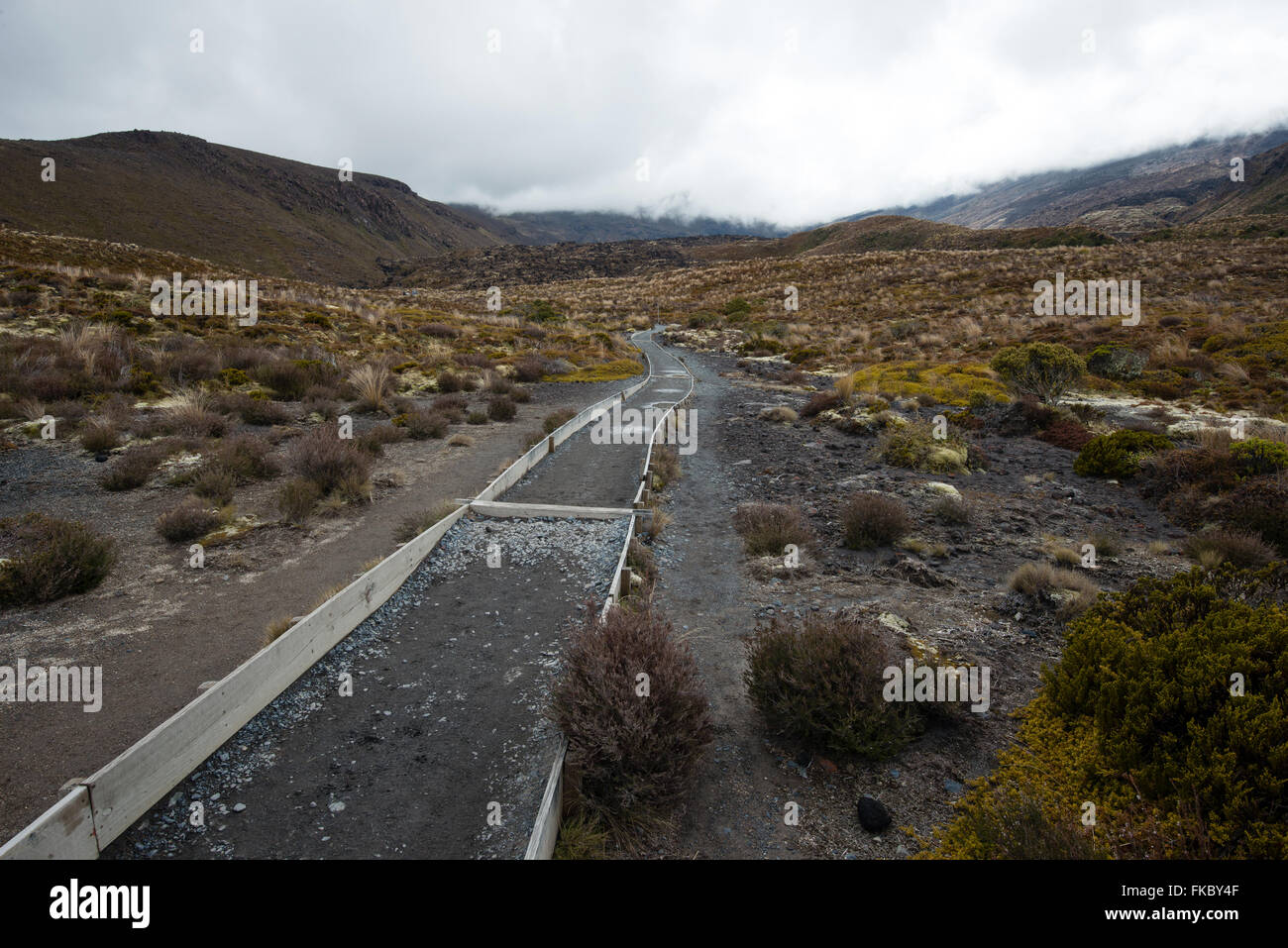 Public tramping track at Tongariro National Park in New Zealand Stock ...