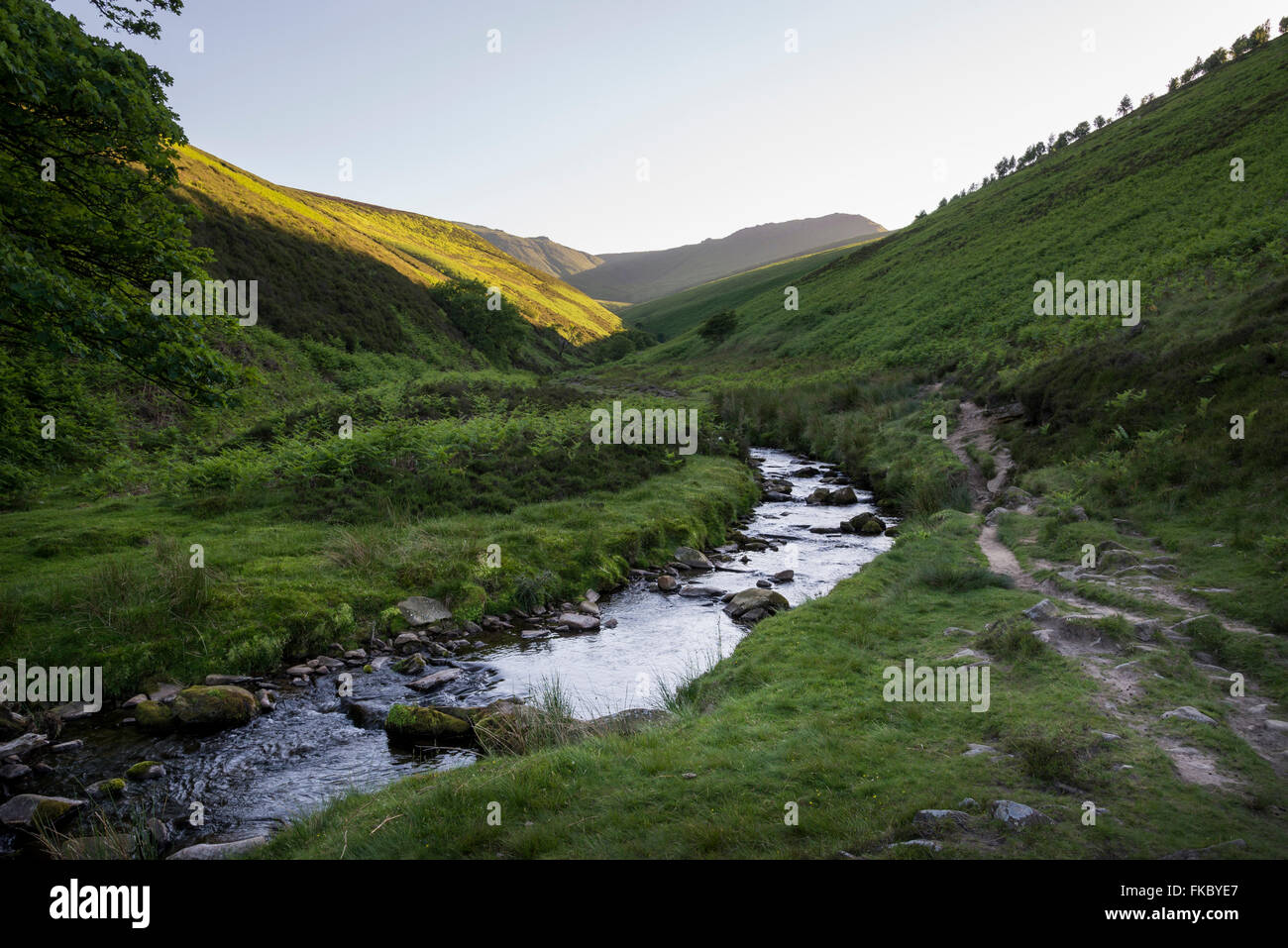 Fairbrook in the Peak District national park with summer greenery on ...