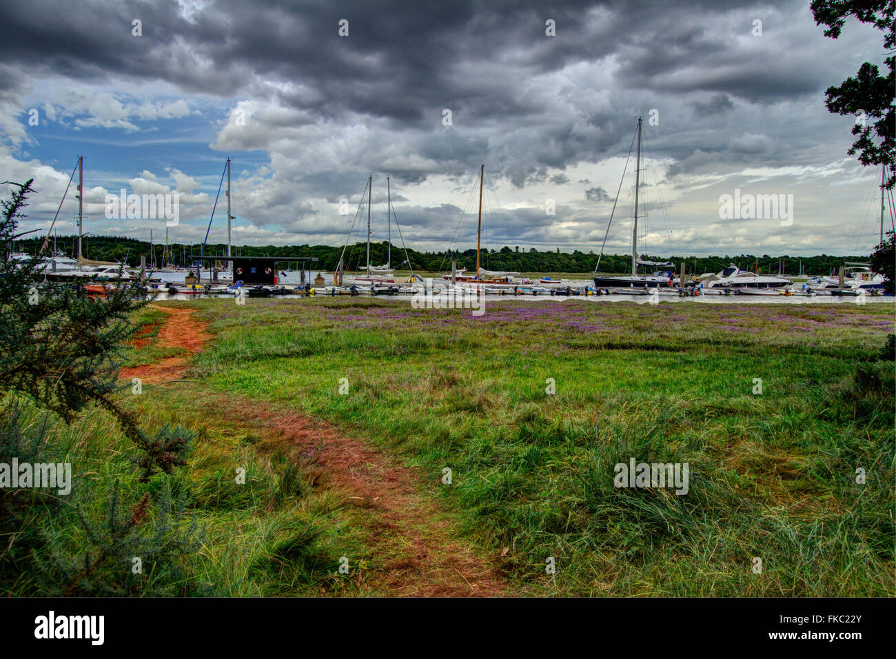 Lepe Lighthouse High Resolution Stock Photography and Images - Alamy