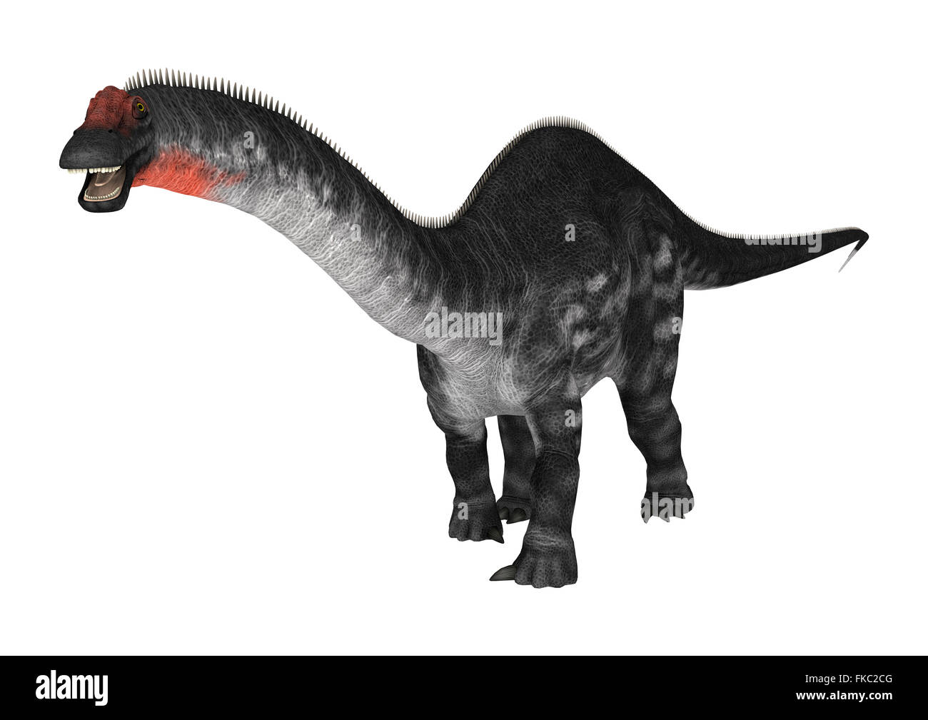 Digital render of a dinosaur Apatosaurus isolated on white background ...
