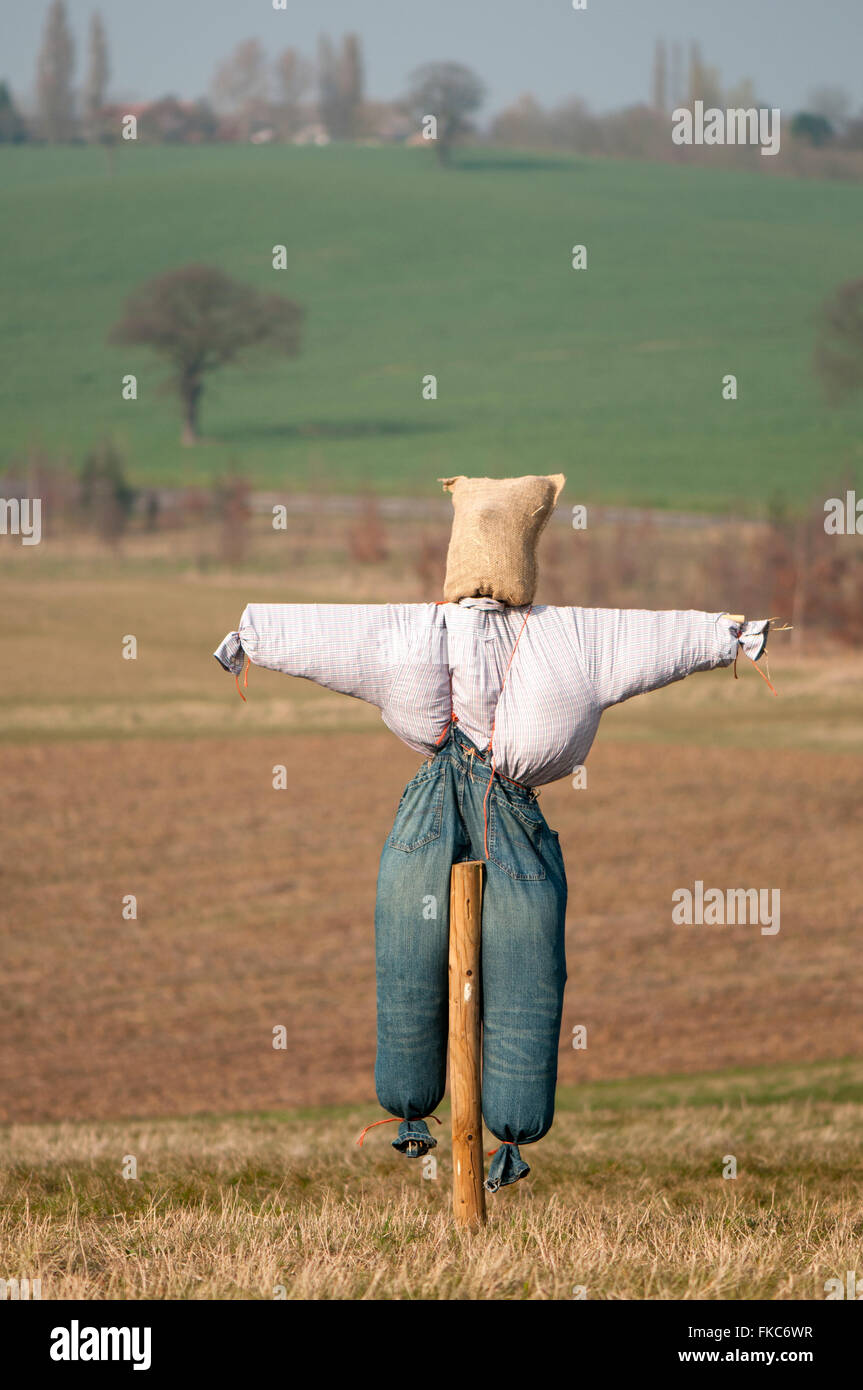 Portrait image of a scarecrow stood in a field with farmland background ...