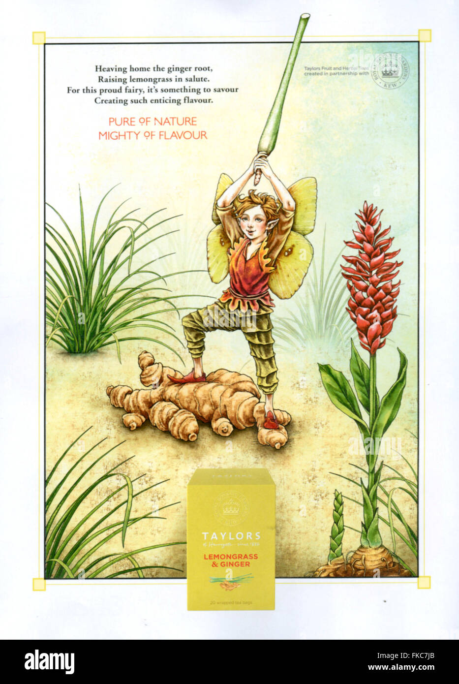 Ginger advert hi-res stock photography and images - Alamy