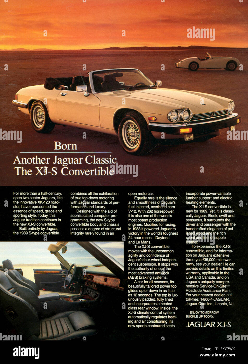 1980s UK Jaguar Magazine Advert Stock Photo - Alamy