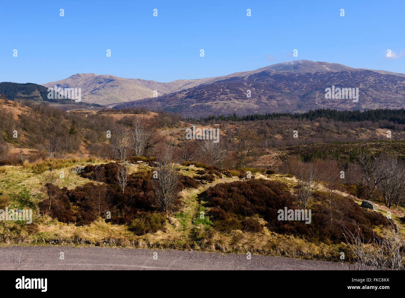 Entrance to the forest hi-res stock photography and images - Alamy