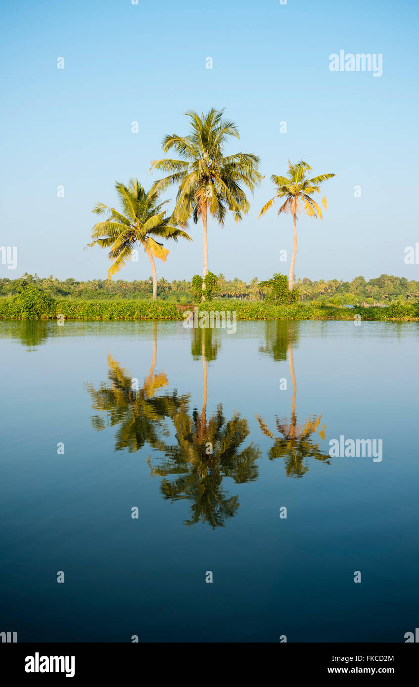 Backwaters near North Paravoor, Kerala, India Stock Photo - Alamy