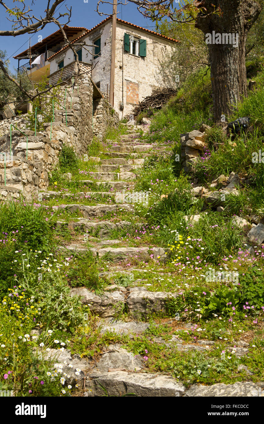 Natural stone walkway in rural Greece, with a house at the top of the ...