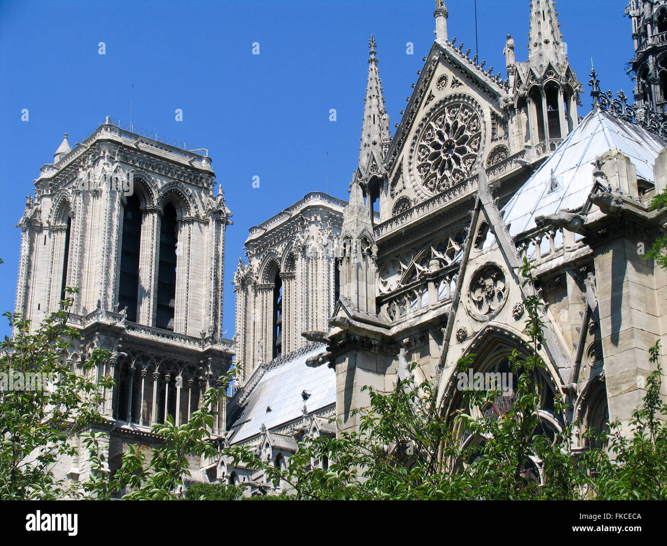 Side view of Notre Dame Cathedral Stock Photo - Alamy