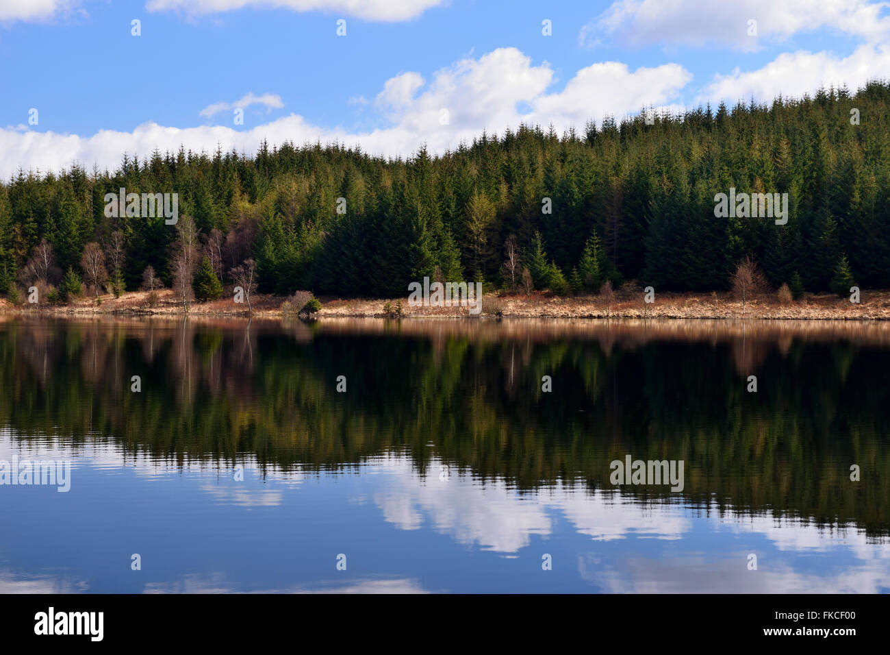 Loch drunkie hi-res stock photography and images - Alamy