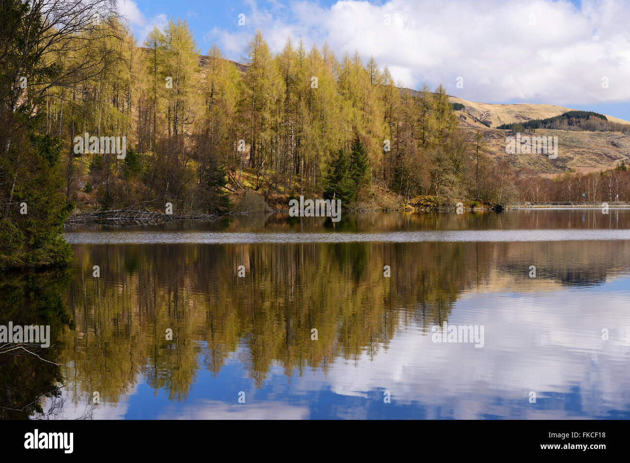 Loch drunkie hi-res stock photography and images - Alamy
