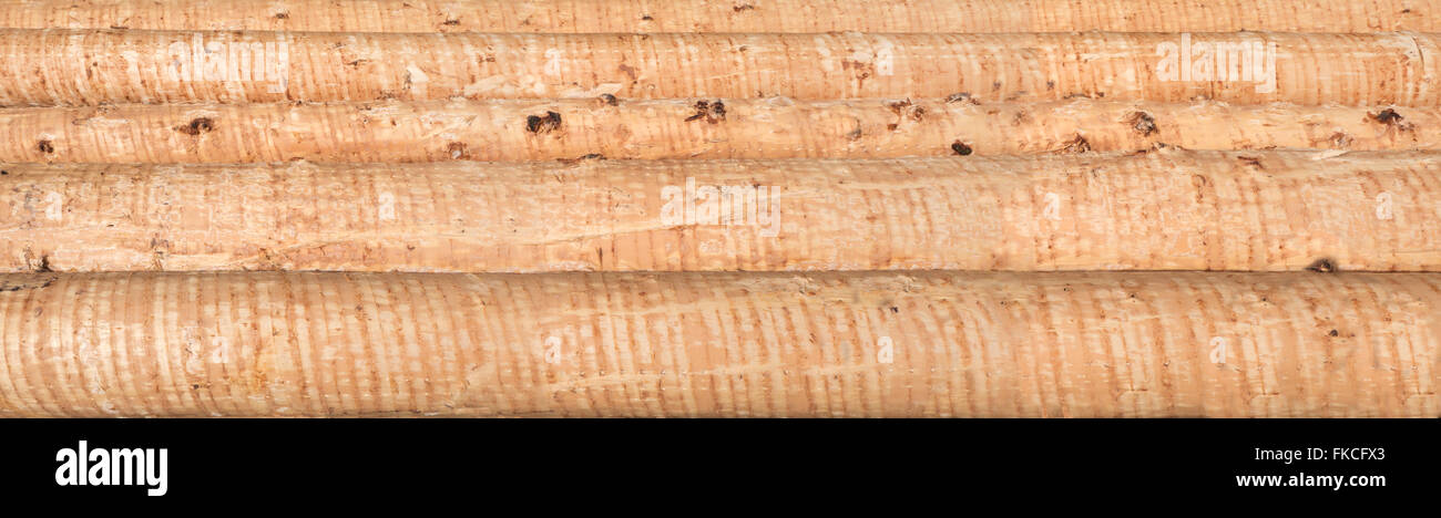 Panorama of newly peeled, stacked, horizontal tree trunks Stock Photo ...