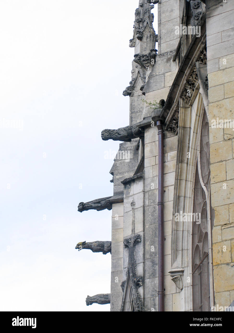 Drain pipe with gargoyle hi-res stock photography and images - Alamy