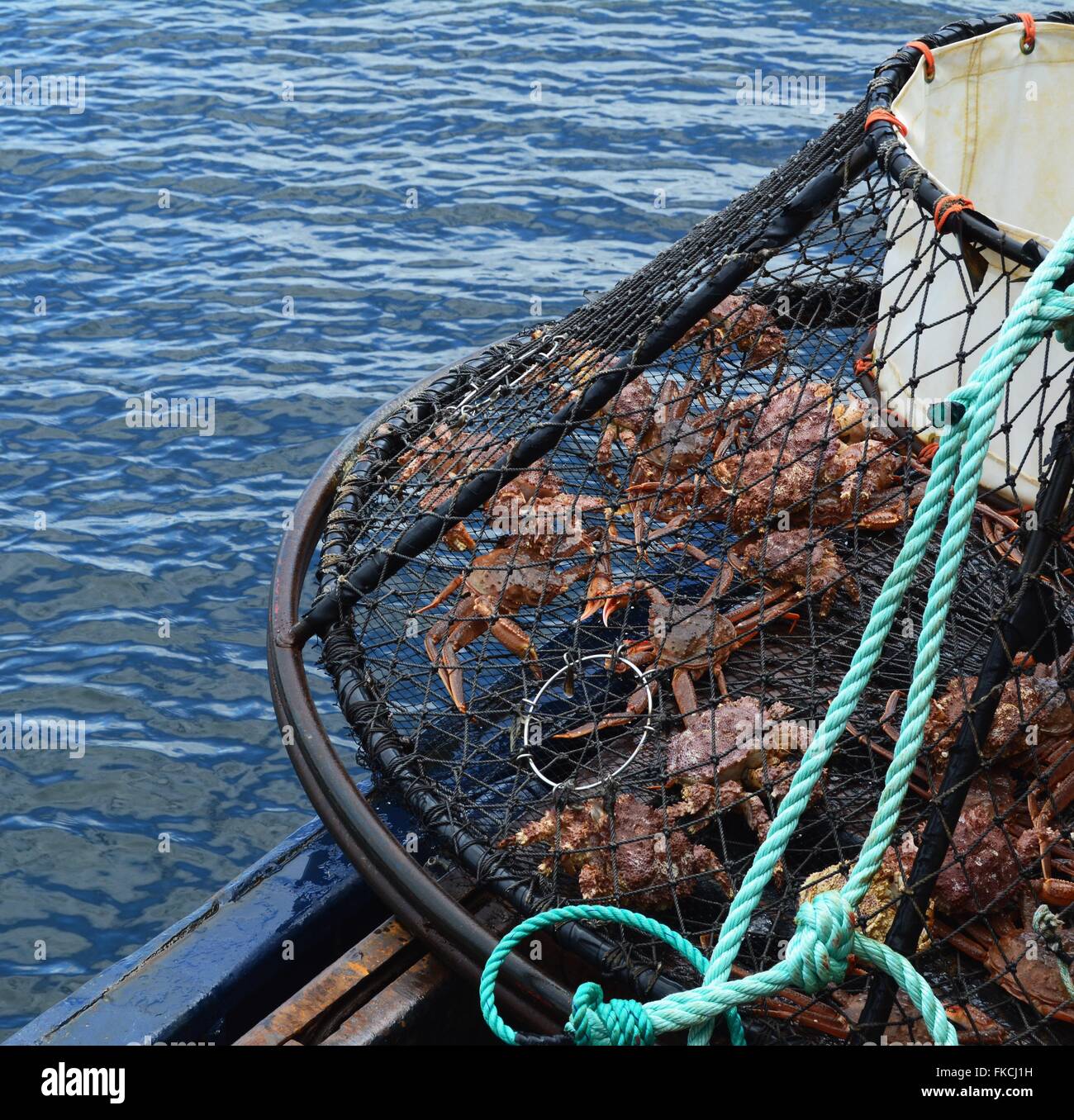 Cone shaped nets hi-res stock photography and images - Alamy