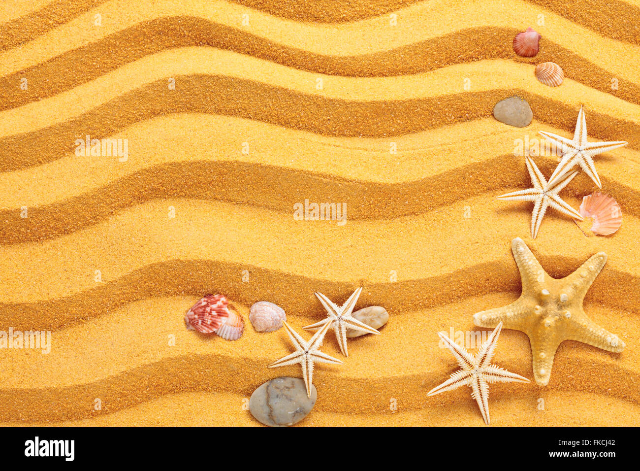Sand and seashells Stock Photo - Alamy