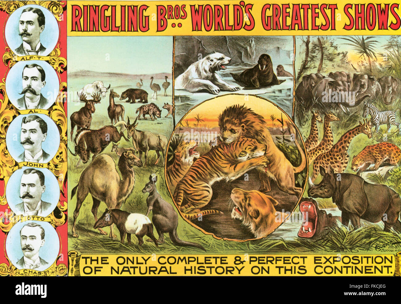 1910s USA Ringling Brothers Poster Stock Photo - Alamy