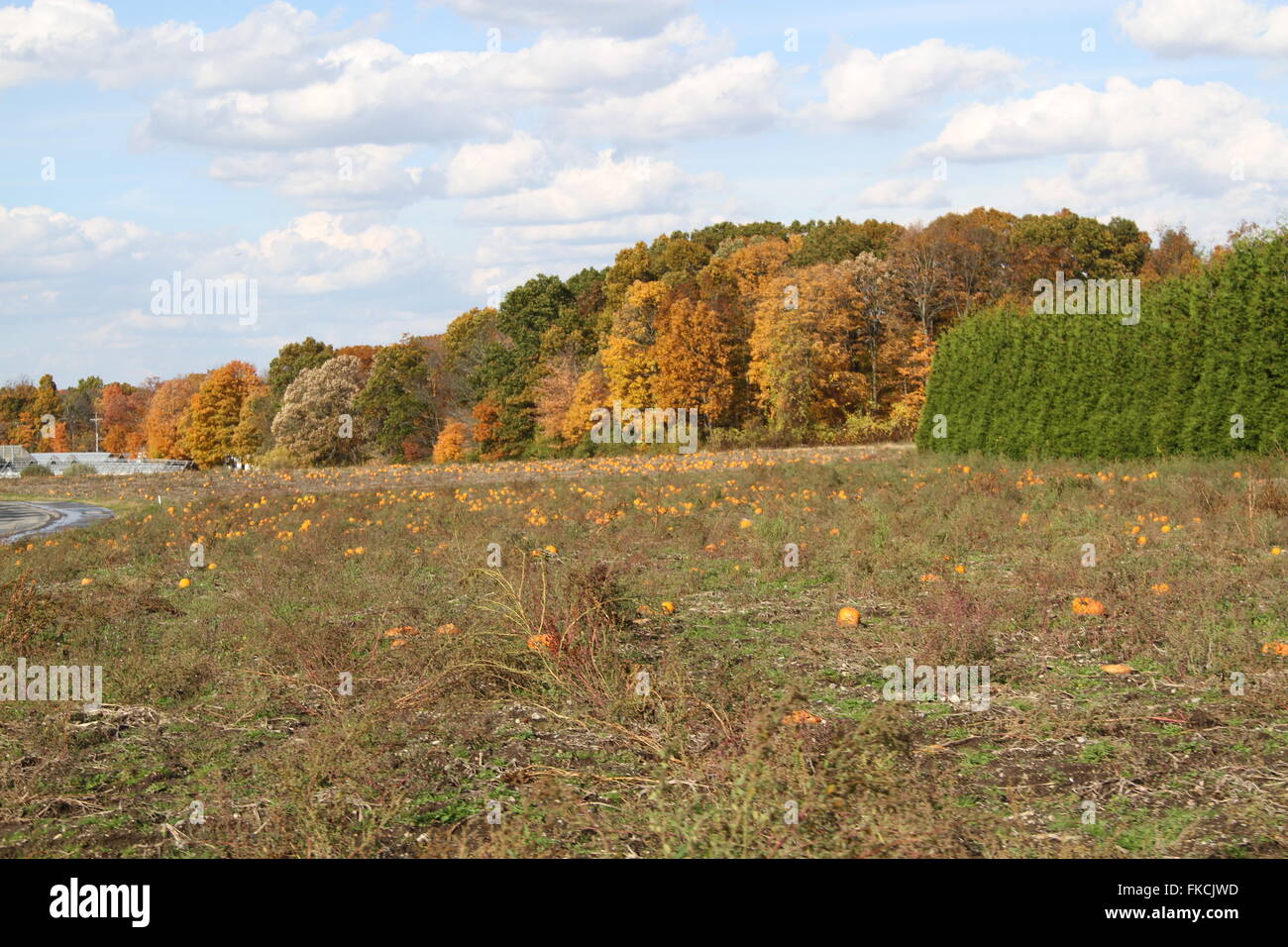 Empty patch hi-res stock photography and images - Alamy