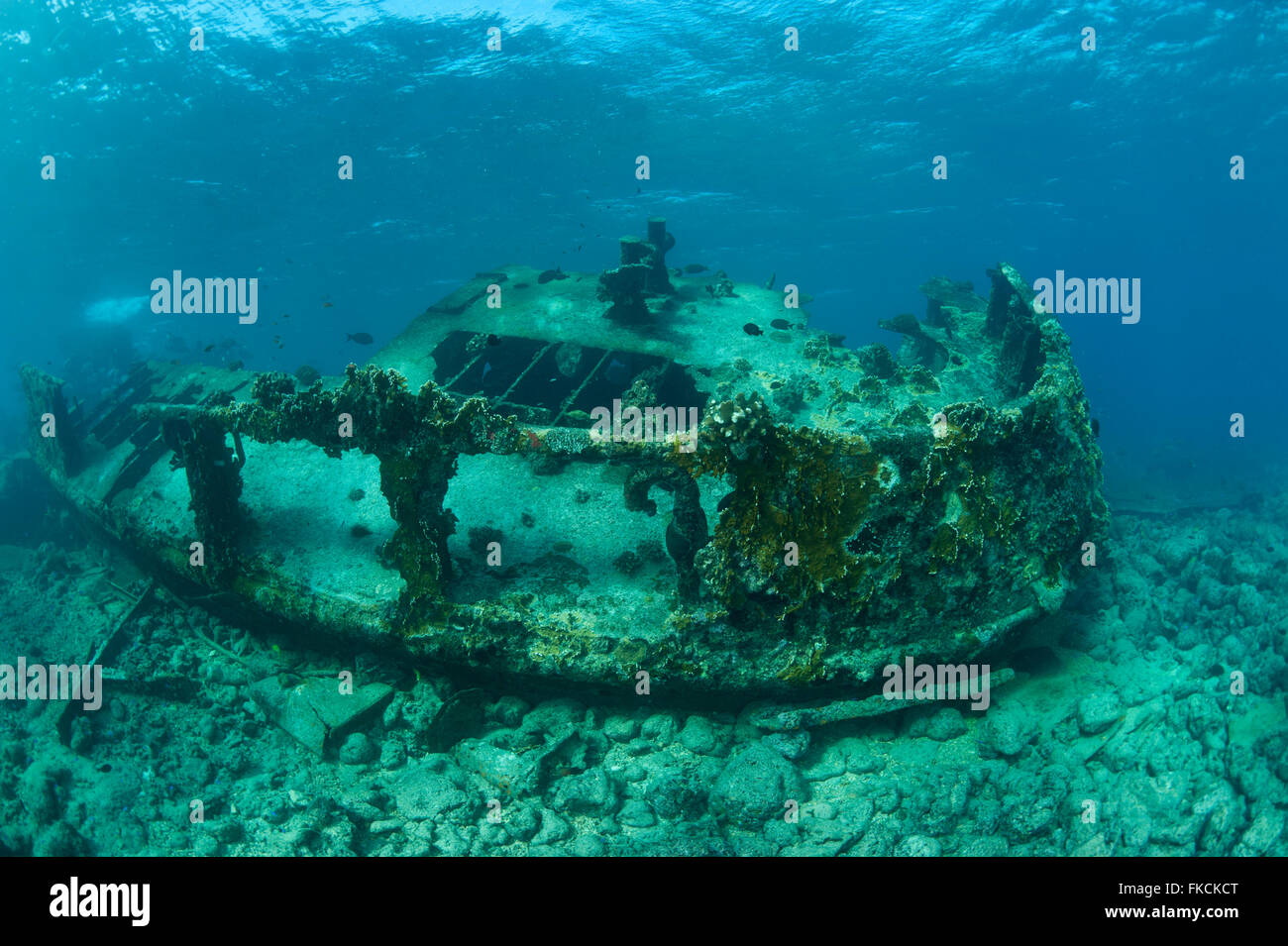 Ship wreck in the reef Stock Photo - Alamy