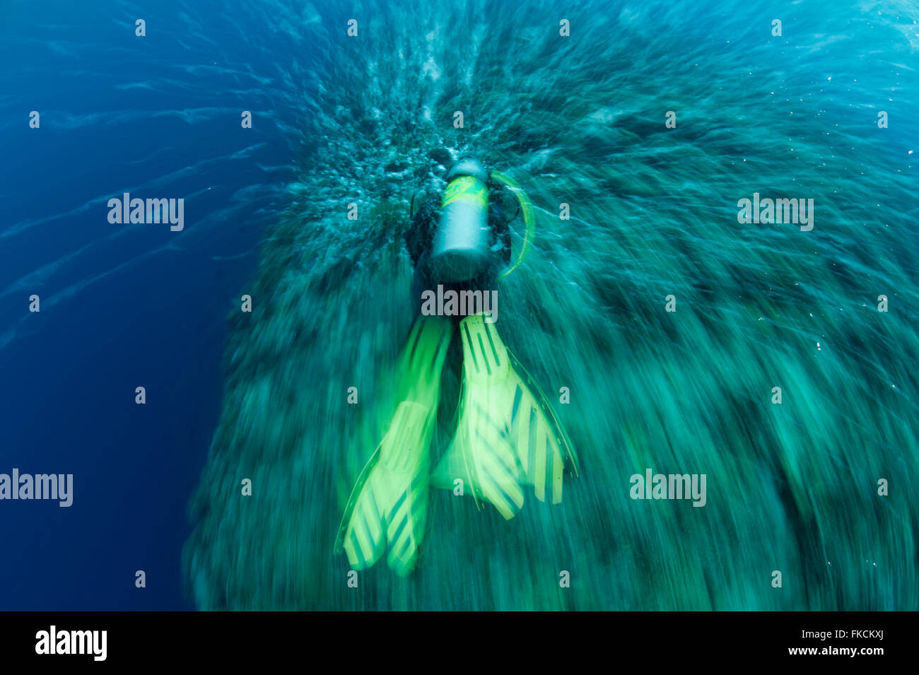Underwater current hi-res stock photography and images - Alamy